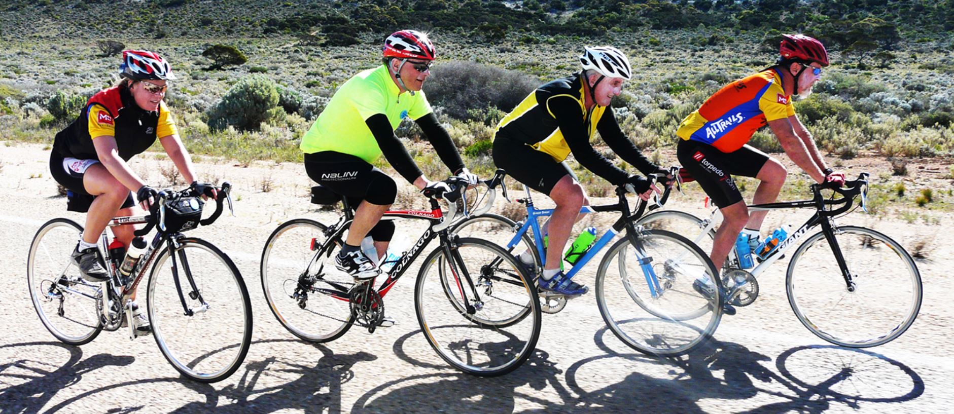 charity - Partridge GP